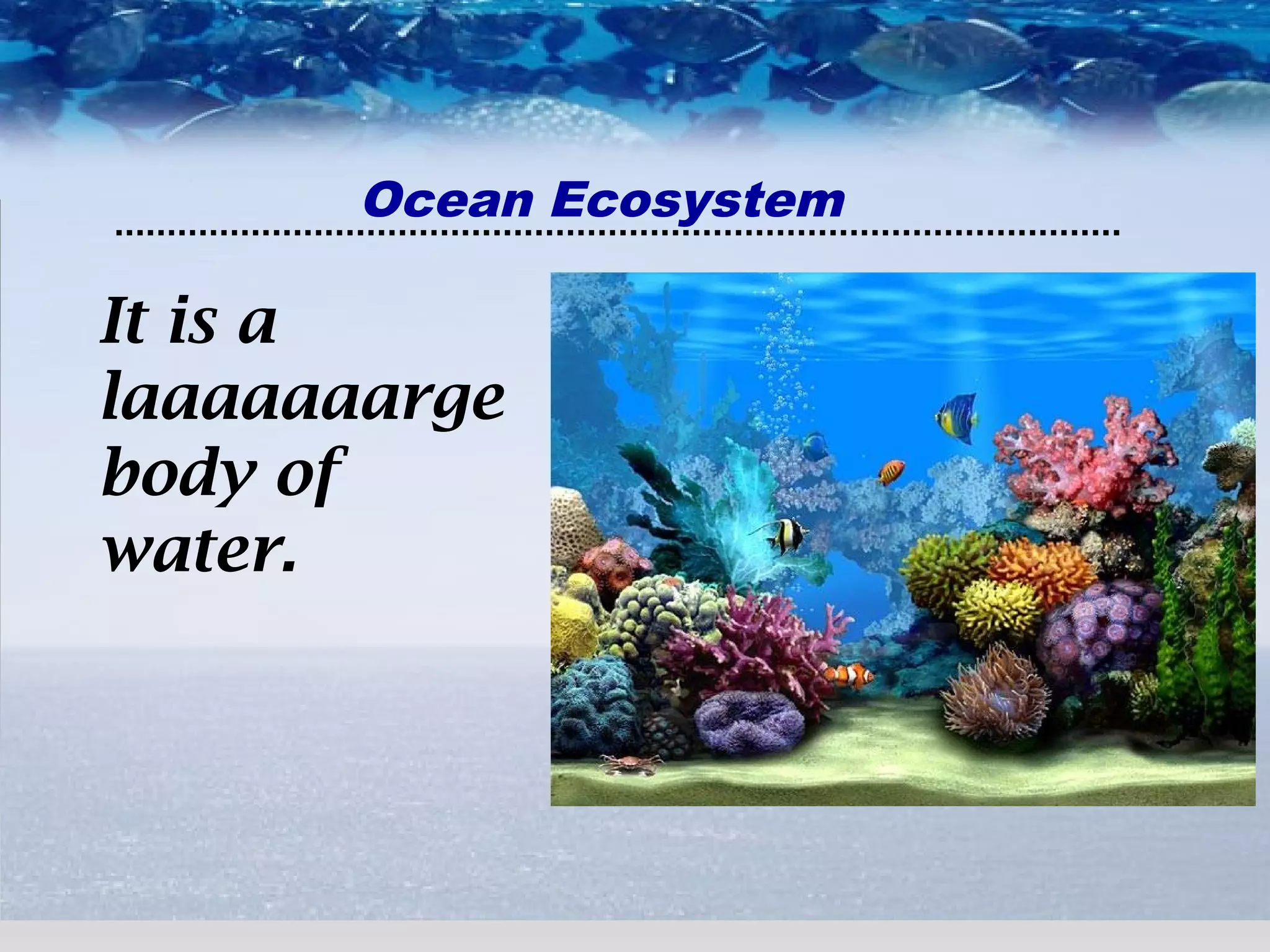 Ocean ecosystem | PPT