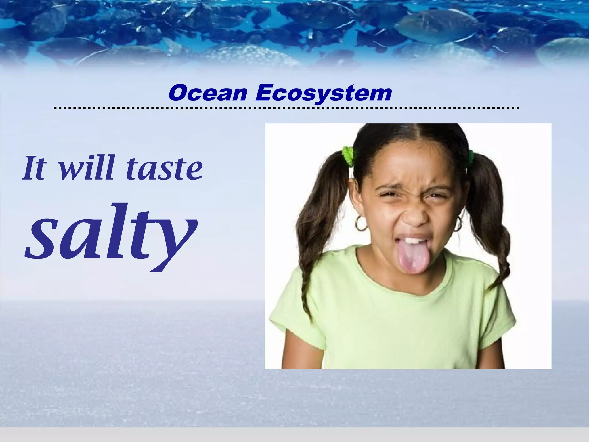 Ocean ecosystem | PPT