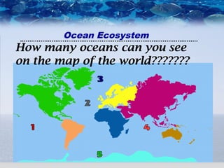 Ocean ecosystem | PPT