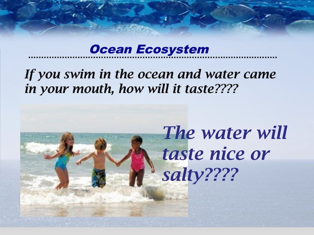 Ocean ecosystem | PPT
