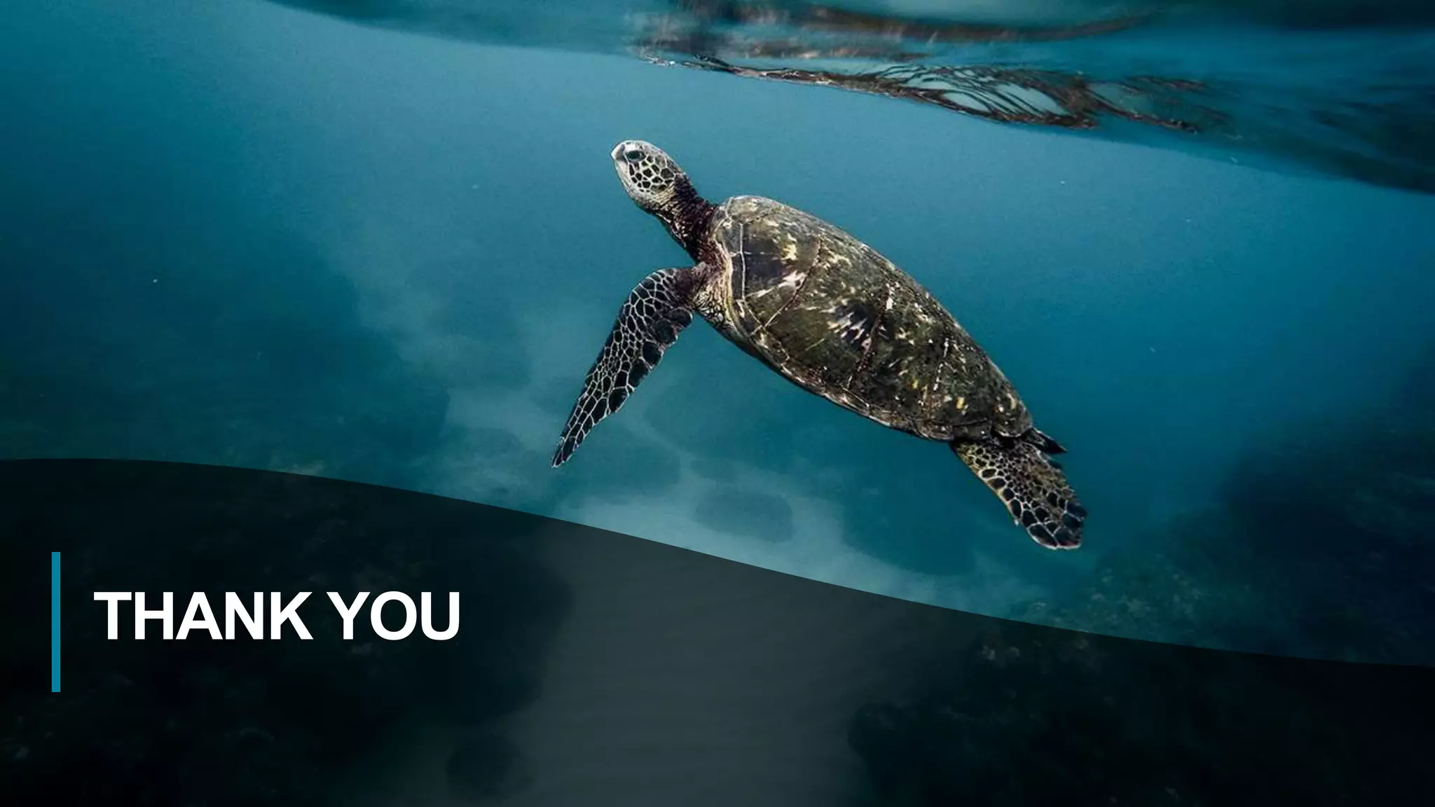 Ocean ecosystem | PPTX