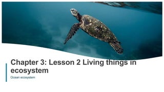 Ocean ecosystem | PPTX