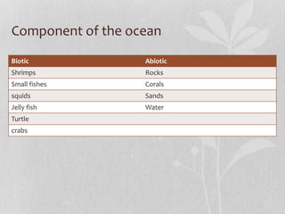 Ocean ecosystem summative | PPTX