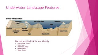Ocean Floor Activity | PPT