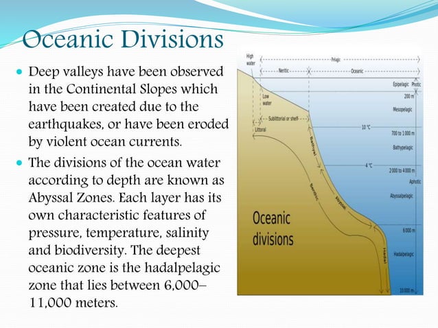 Ocean floor topography | PPTX