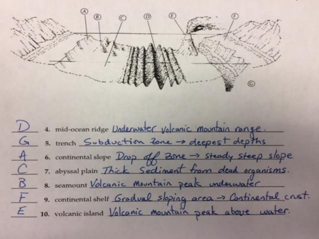 Ocean Floor Topography and Features | PPT