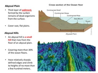 Ocean Floor Topography Cross Section