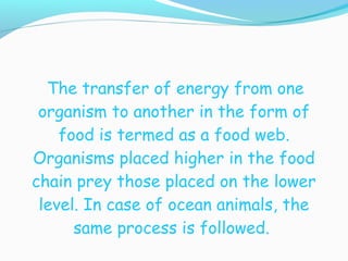 Ocean food chain | PPT