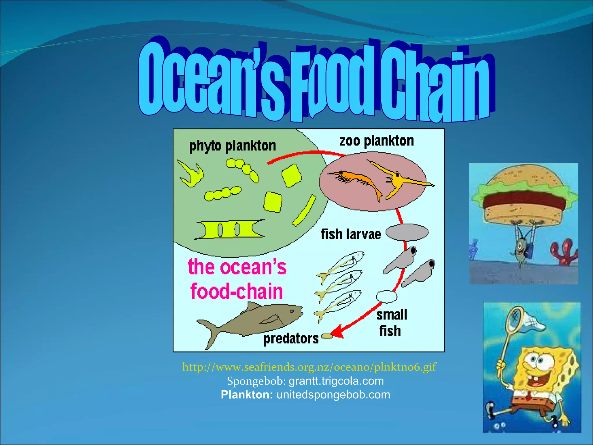 Ocean habita powerpoint | PPT