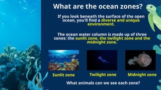 Ocean Habitat and its environmental effect | PPTX
