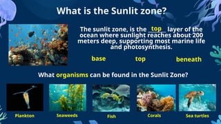 Ocean Habitat and its environmental effect | PPTX