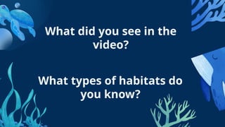 Ocean Habitat and its environmental effect | PPTX