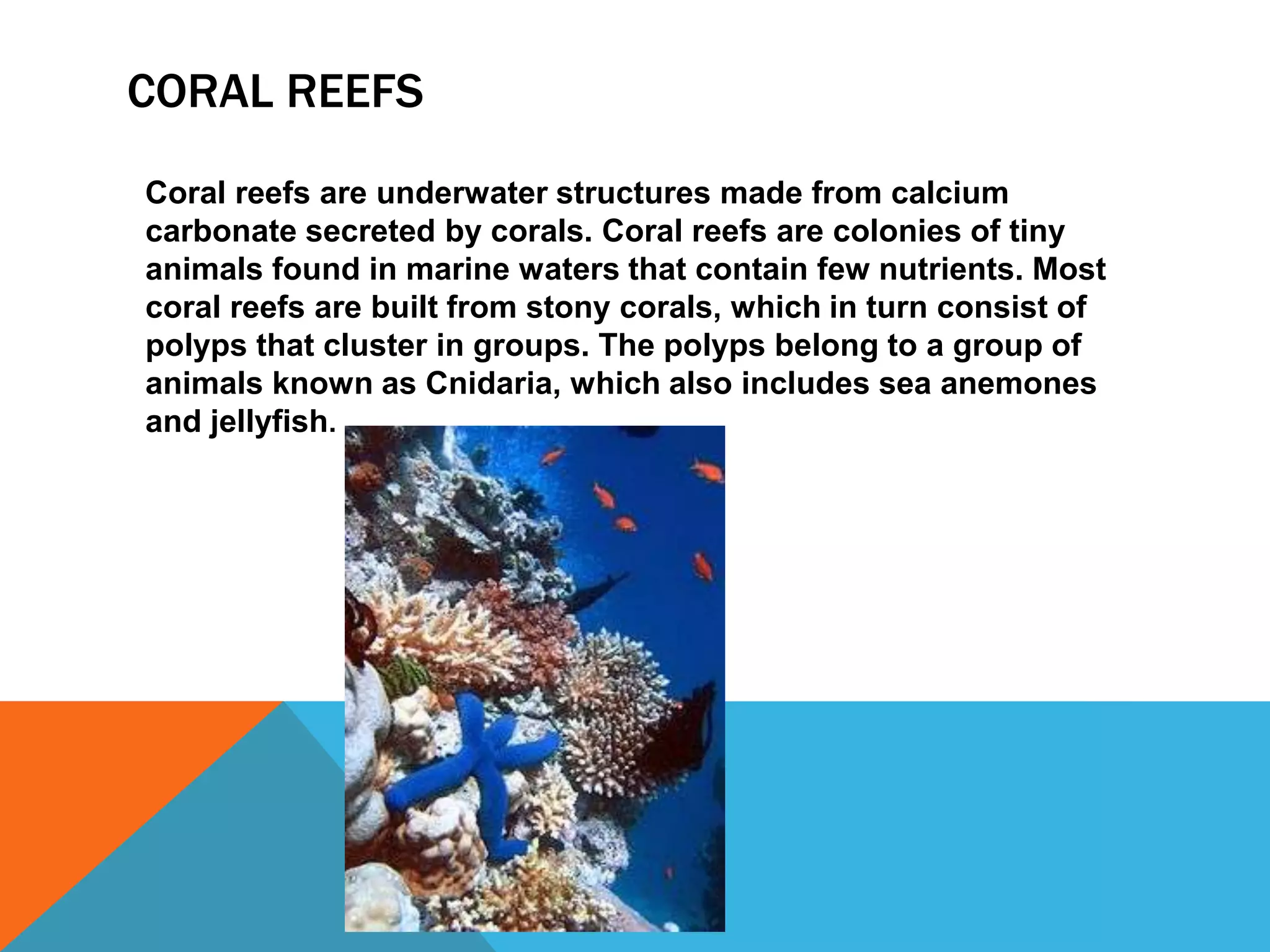 Ocean habitats | PPTX
