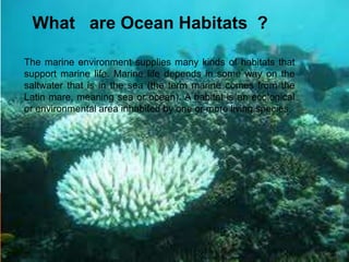 Ocean habitats | PPTX