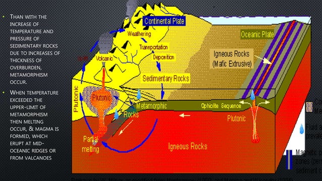 Oceanic crust and its life cycle | PPTX | Geography | Science
