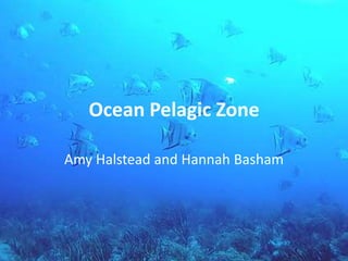 Oceanic pelagic zone biology biome project | PPTX