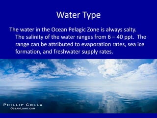 Oceanic pelagic zone biology biome project | PPTX