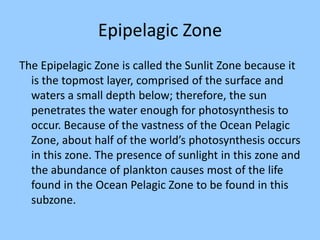 Oceanic pelagic zone biology biome project | PPTX