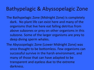 Oceanic pelagic zone biology biome project | PPTX
