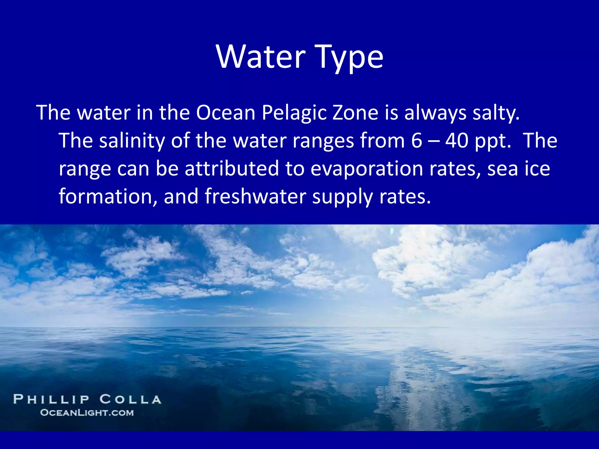 Oceanic pelagic zone biology biome project FINAL | PPTX