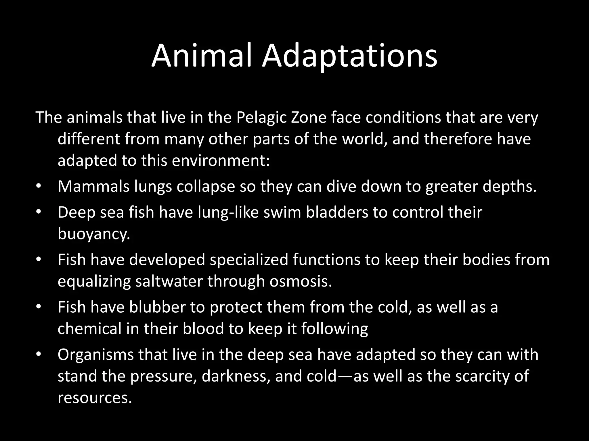 Oceanic pelagic zone biology biome project FINAL | PPTX