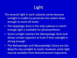 Oceanic pelagic zone biology biome project FINAL | PPTX