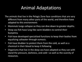 Oceanic pelagic zone biology biome project FINAL | PPTX