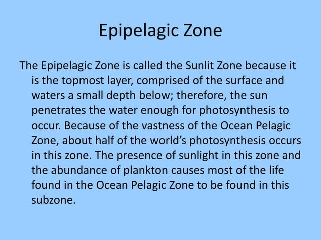 Oceanic pelagic zone biology biome project FINAL | PPT