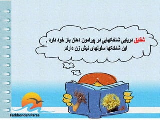 Ocean invertebrates- 5 | PPT