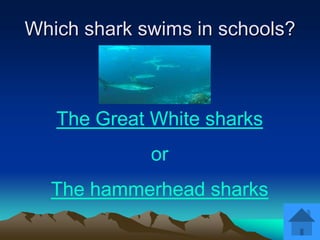 Ocean Jeopardy | PPT