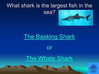 Ocean Jeopardy | PPT | Zoos & Aquariums | Attractions