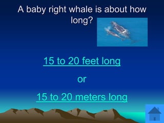 Ocean Jeopardy | PPT | Zoos & Aquariums | Attractions