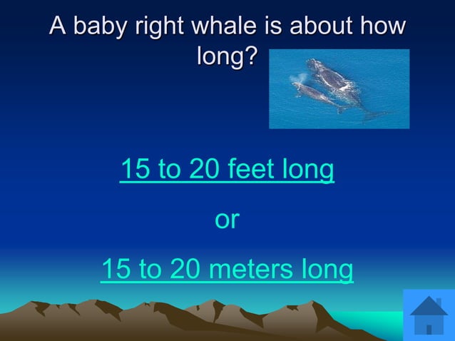 Ocean Jeopardy | PPT