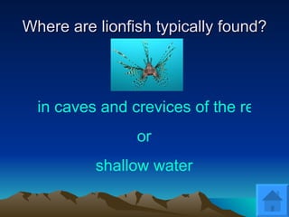 Ocean Jeopardy | PPT