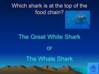 Ocean Jeopardy | PPT