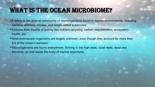 ocean microbiome and its importance.pptx