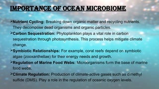 ocean microbiome and its importance.pptx