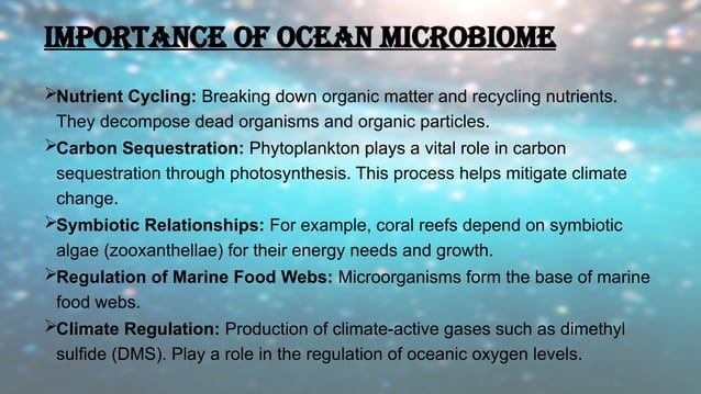 ocean microbiome and its importance.pptx