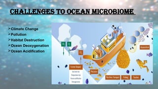 ocean microbiome and its importance.pptx
