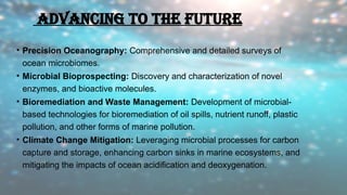 ocean microbiome and its importance.pptx