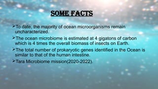 ocean microbiome and its importance.pptx