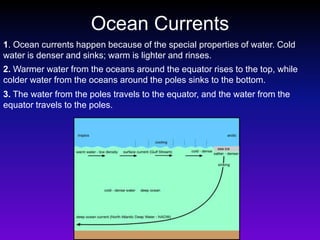 Ocean module report | PPTX