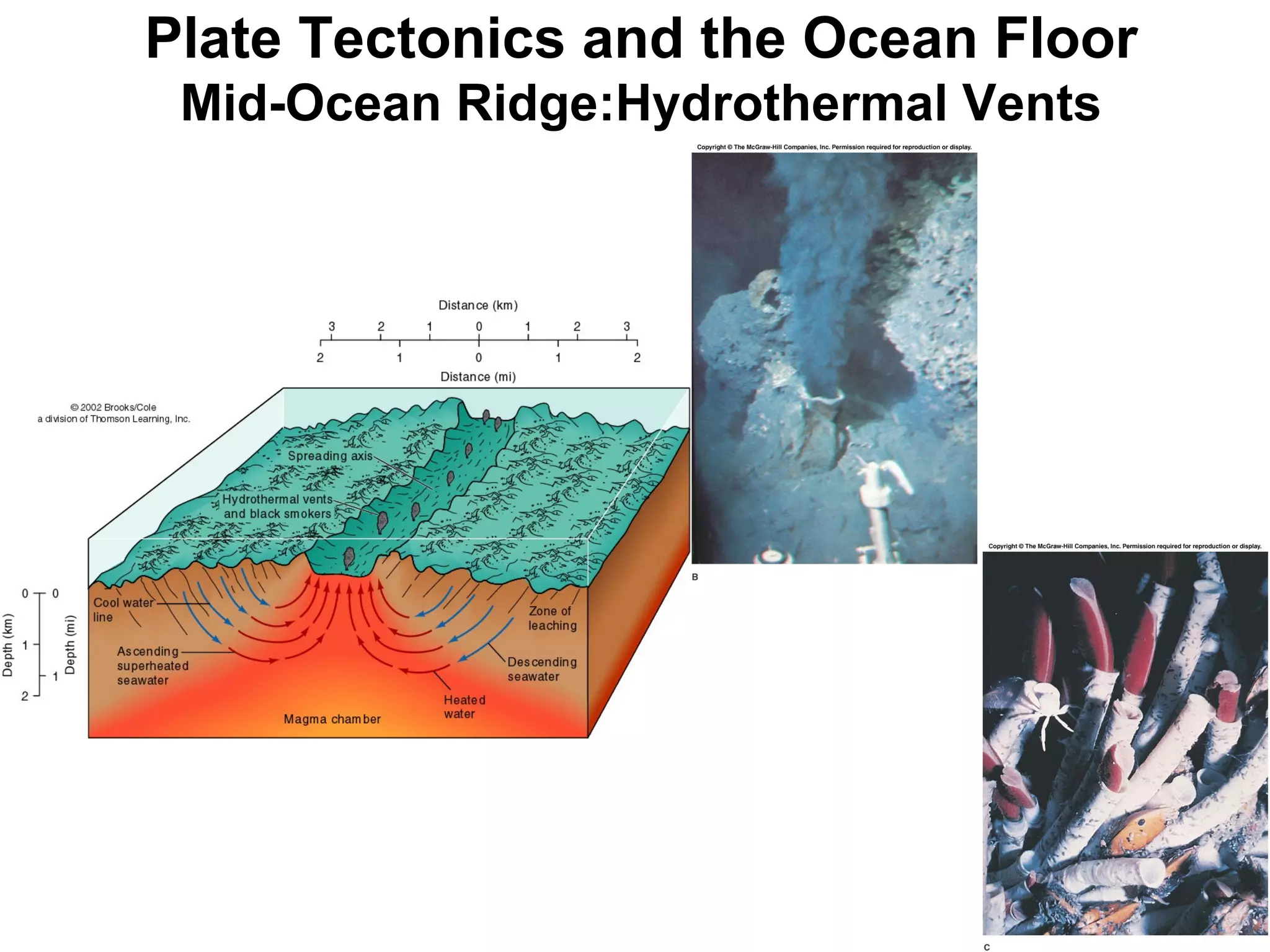 Sea floor morphology | PPT
