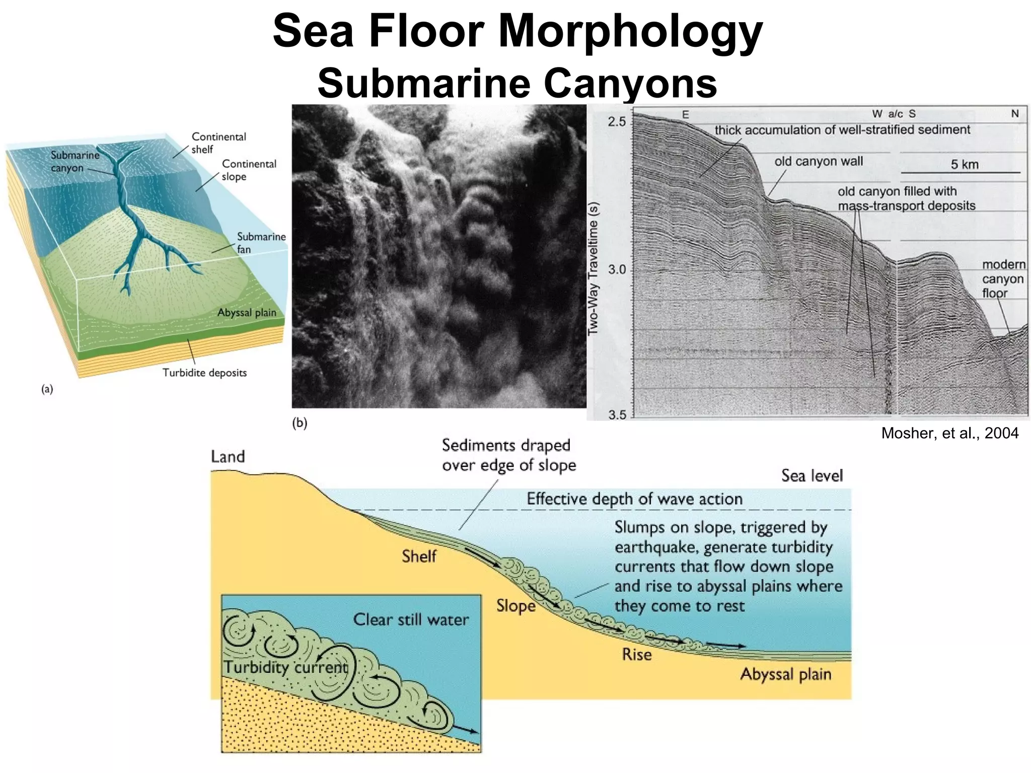 Sea floor morphology | PPT