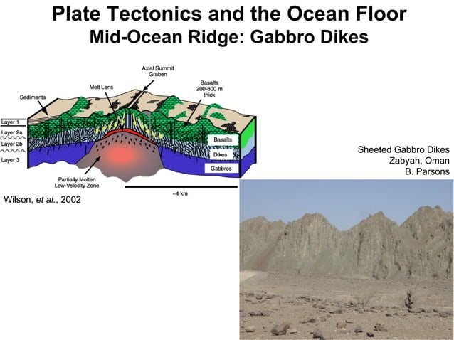 Sea floor morphology | PPT | Geography | Science