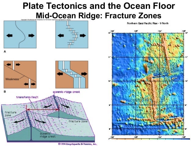 Sea floor morphology
