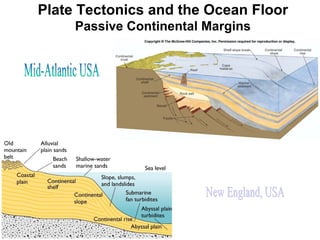 Ocean Morphology | PPT