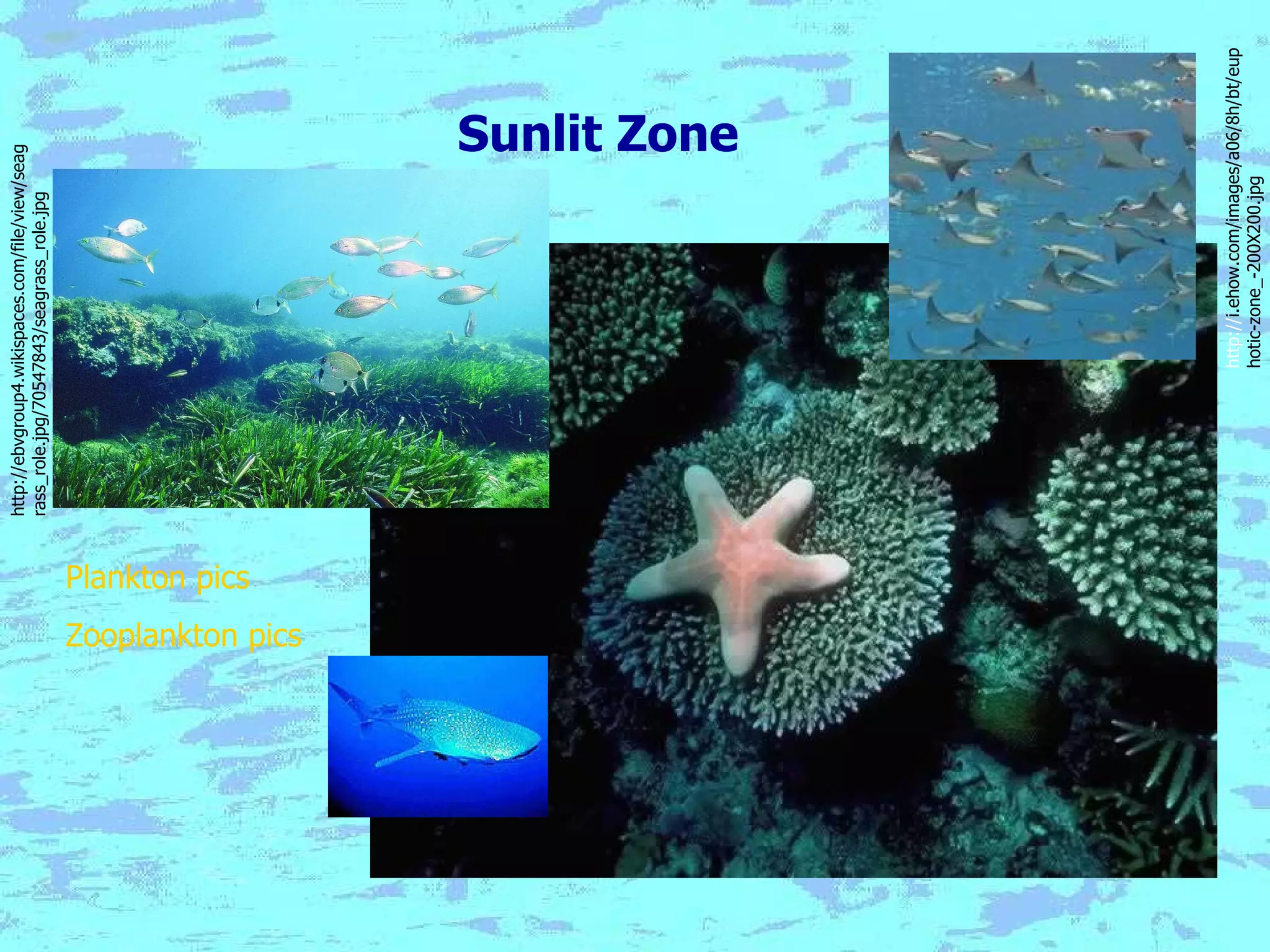 Ocean notes: a comprehensive study on different ocean zones including ...