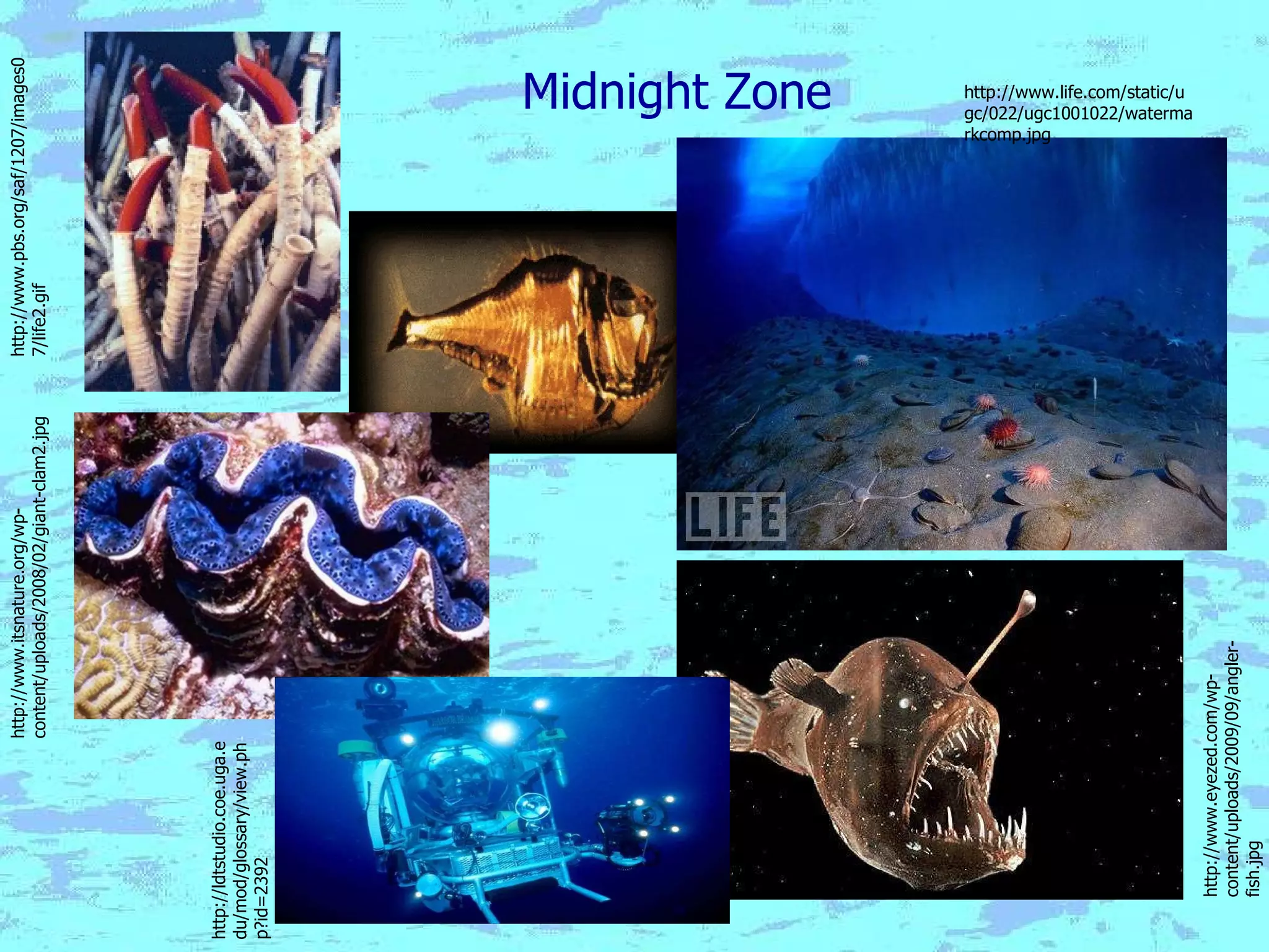 Ocean notes: a comprehensive study on different ocean zones including ...