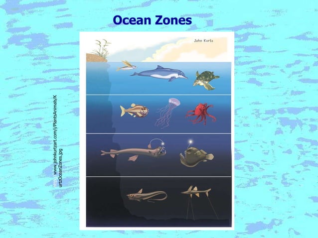 Ocean notes: a comprehensive study on different ocean zones including ...
